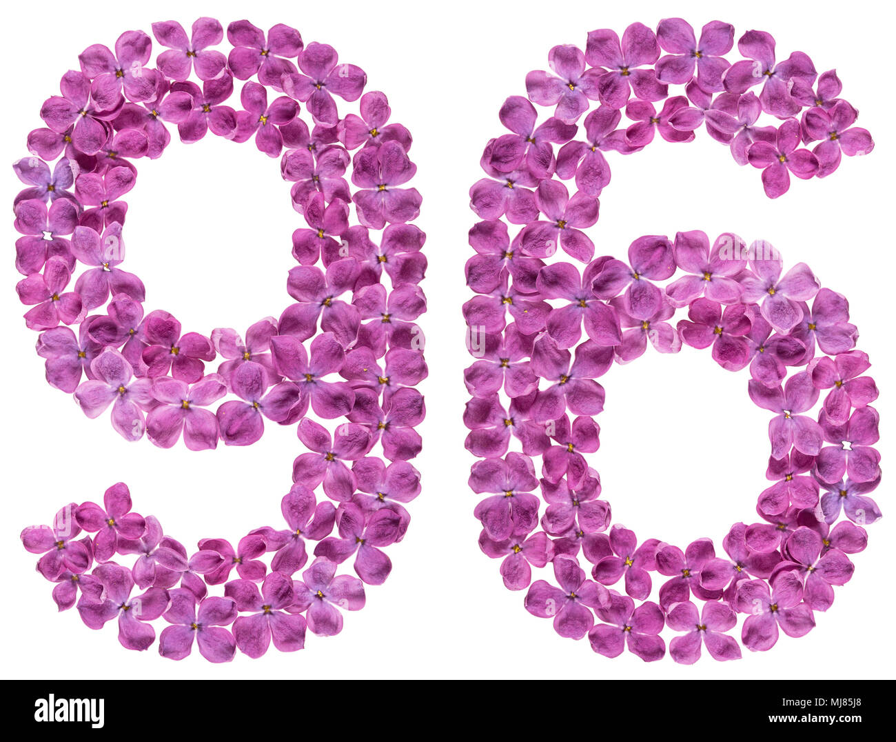 Arabic numeral 96, ninety six, from flowers of lilac, isolated on white ...