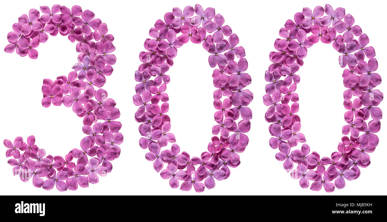 Arabic numeral 300, three hundred, from flowers of lilac, isolated on ...