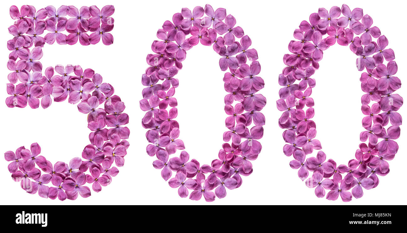 Arabic numeral 500, five hundred, from flowers of lilac, isolated on ...