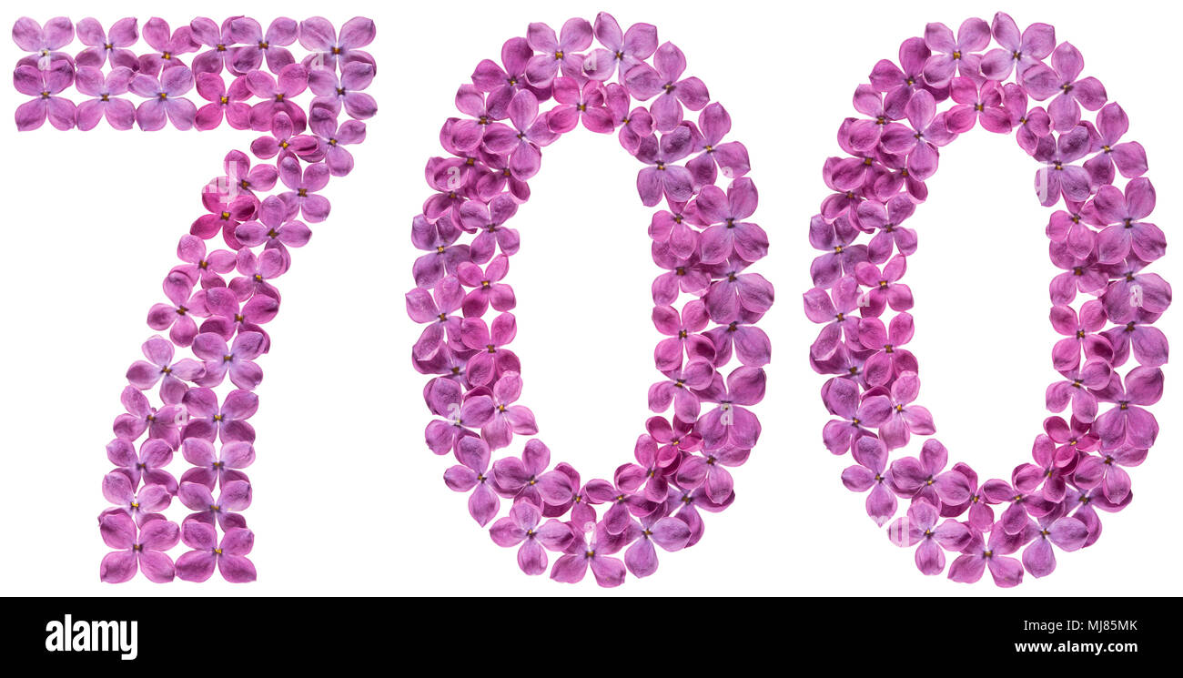 Arabic numeral 700, seven hundred, from flowers of lilac, isolated on ...