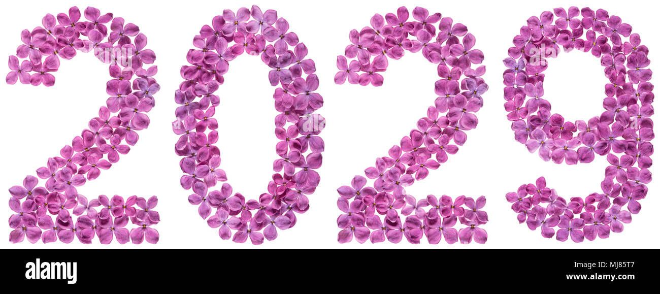 Numeral 2029 from flowers of lilac, isolated on white background Stock ...