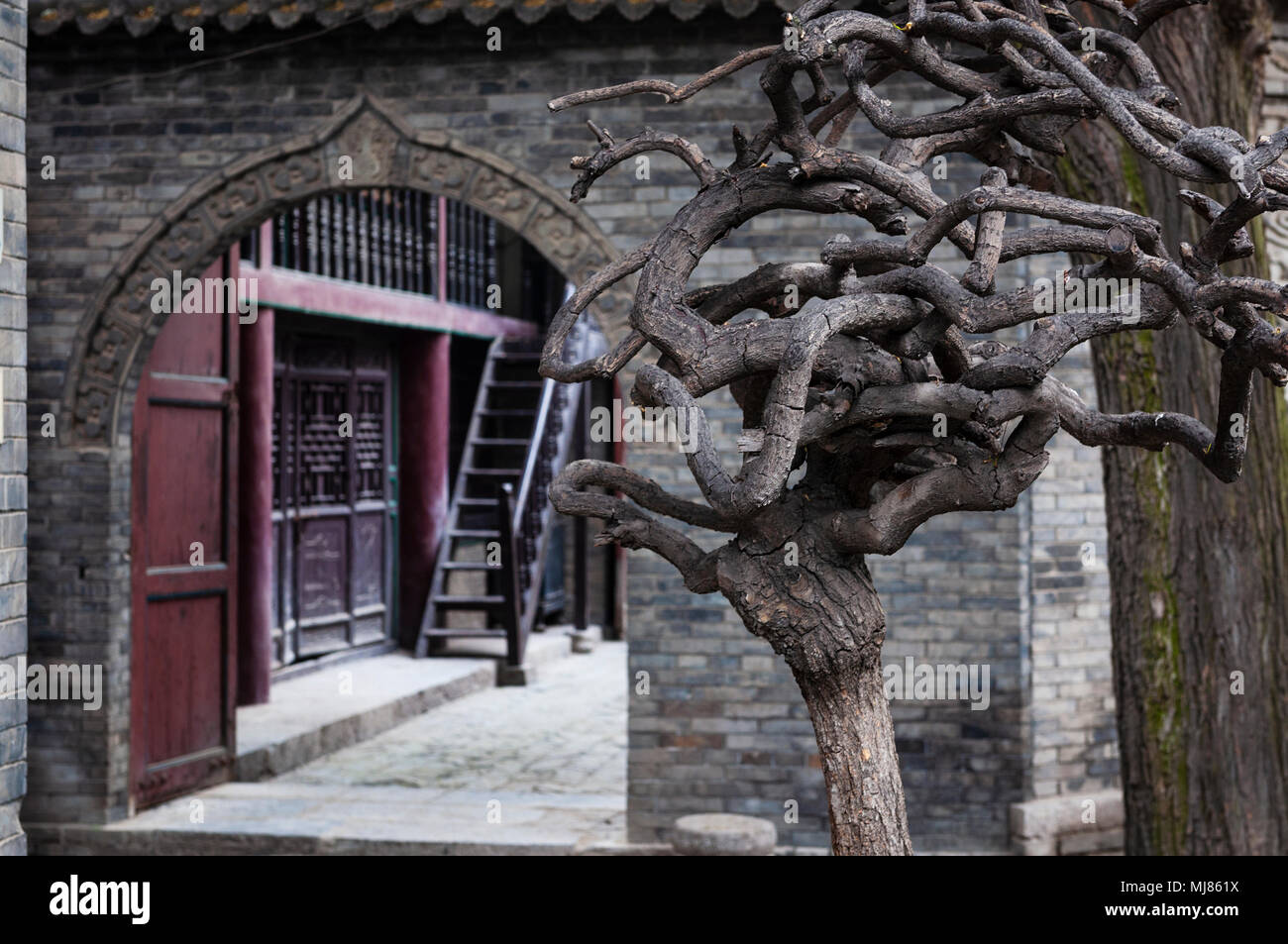 Detail of a tree and the entrance to the Great Mosque in the city of ...