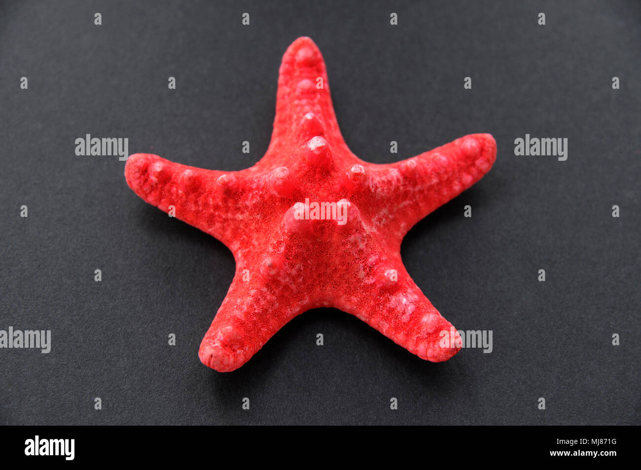 Red starfish on black background Stock Photo - Alamy