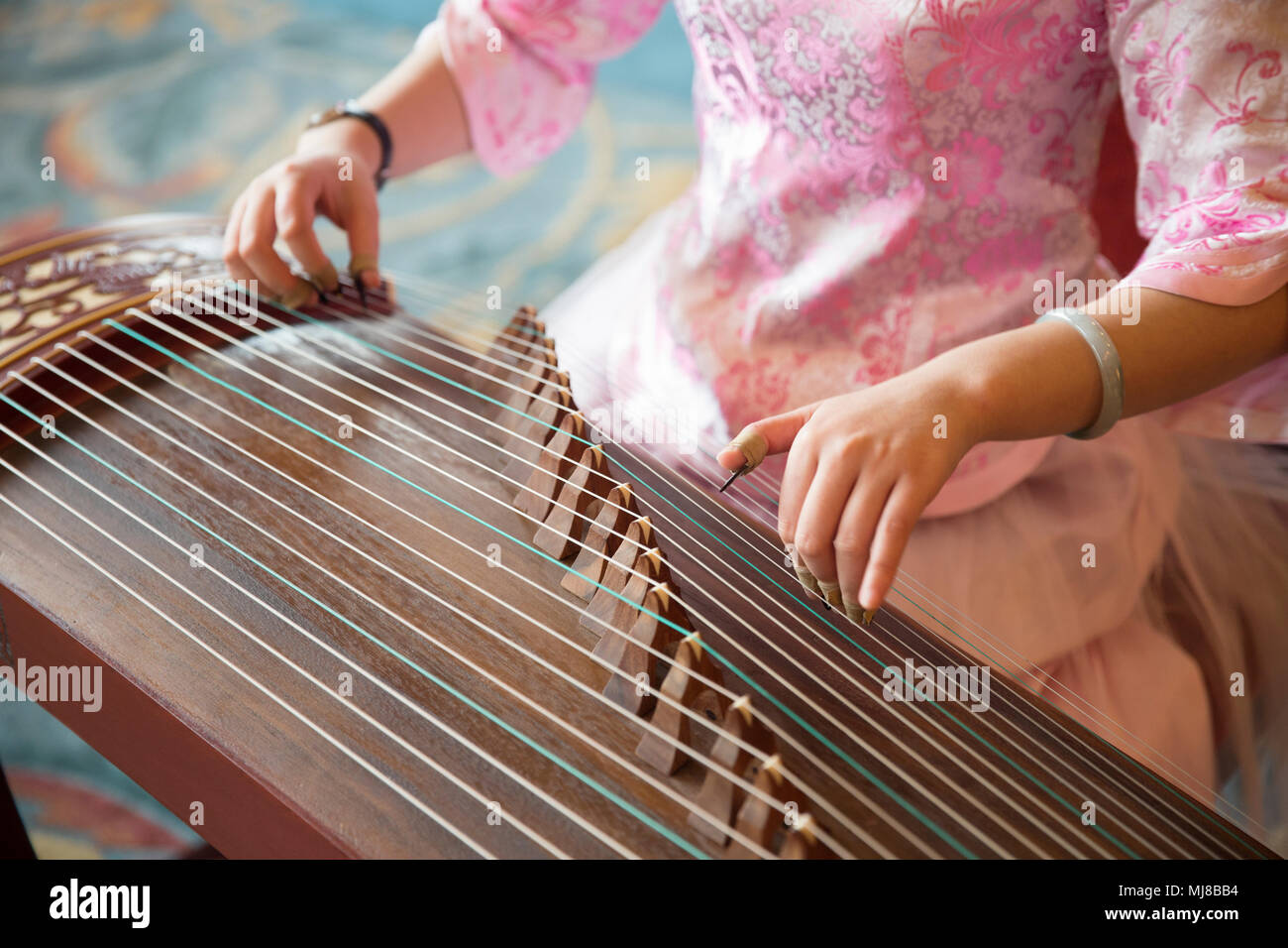 High angle close up of woman playing traditional Japanese Koto string ...