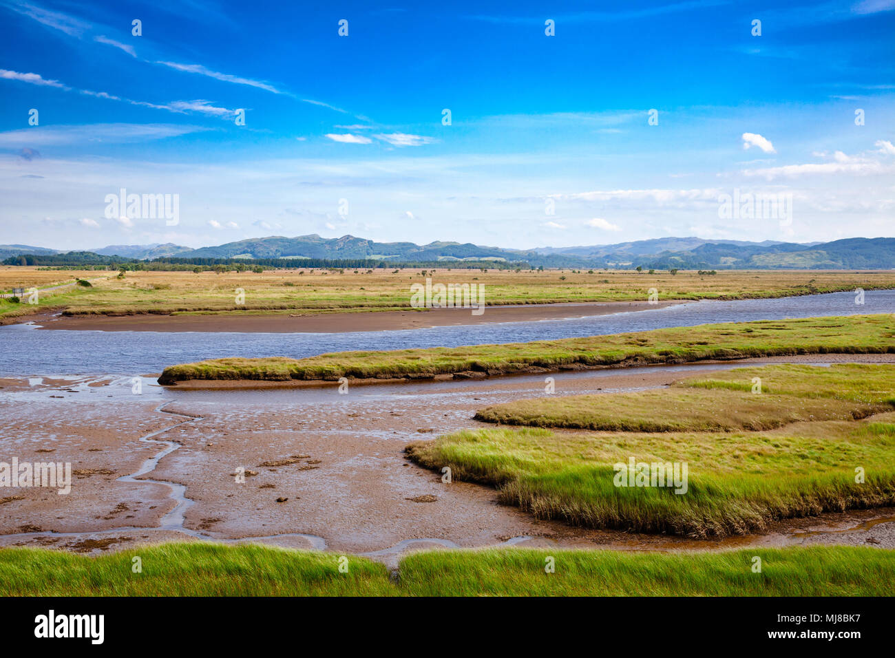 Fen carr hi-res stock photography and images - Alamy