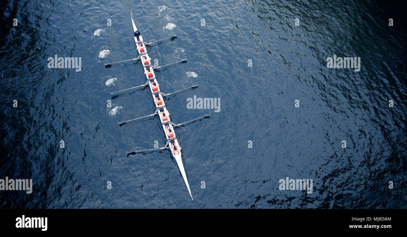 Rowing eight hi-res stock photography and images - Alamy