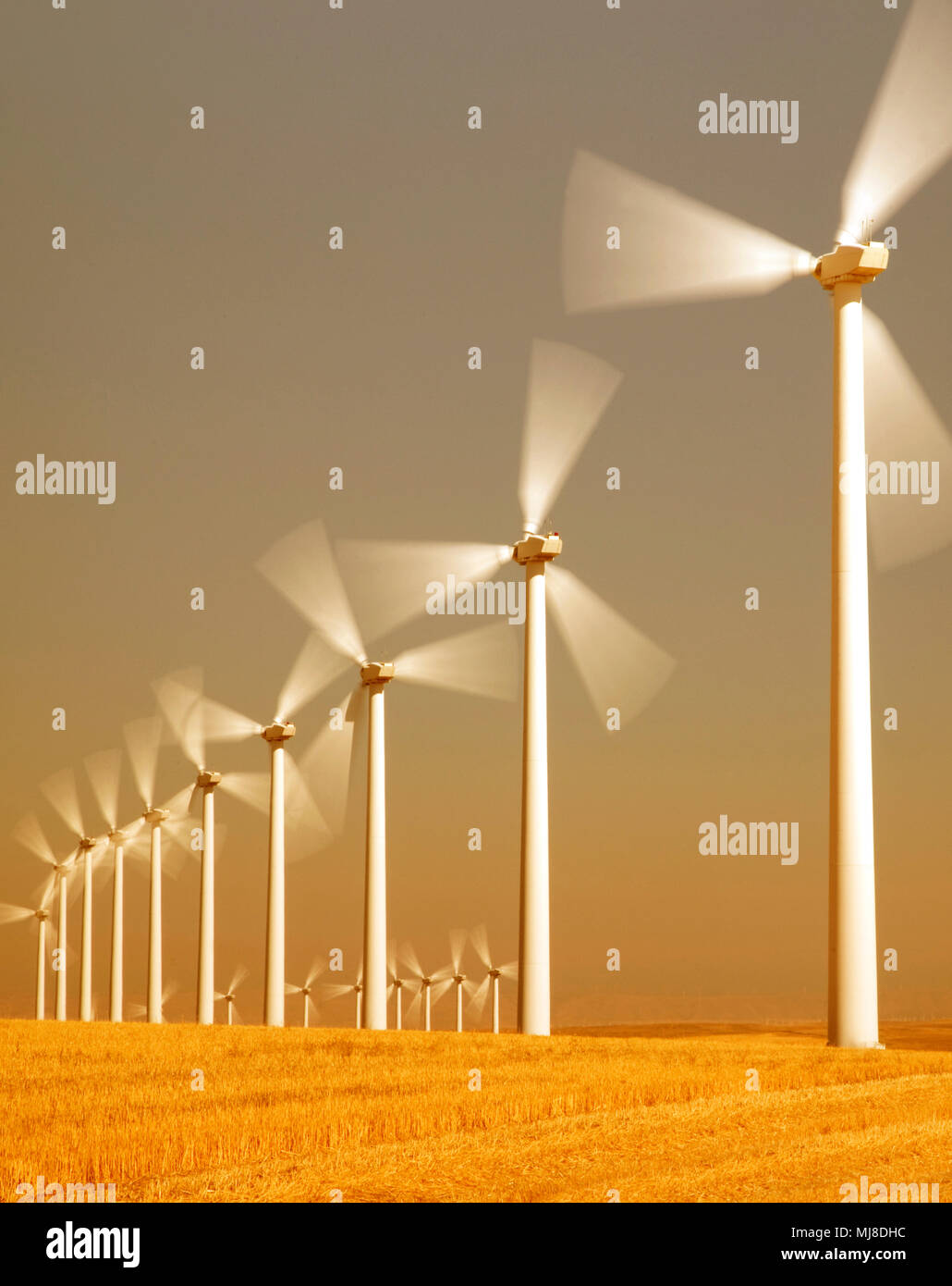Row of wind turbines turning in a field. Low light and gloomy sky. wind ...
