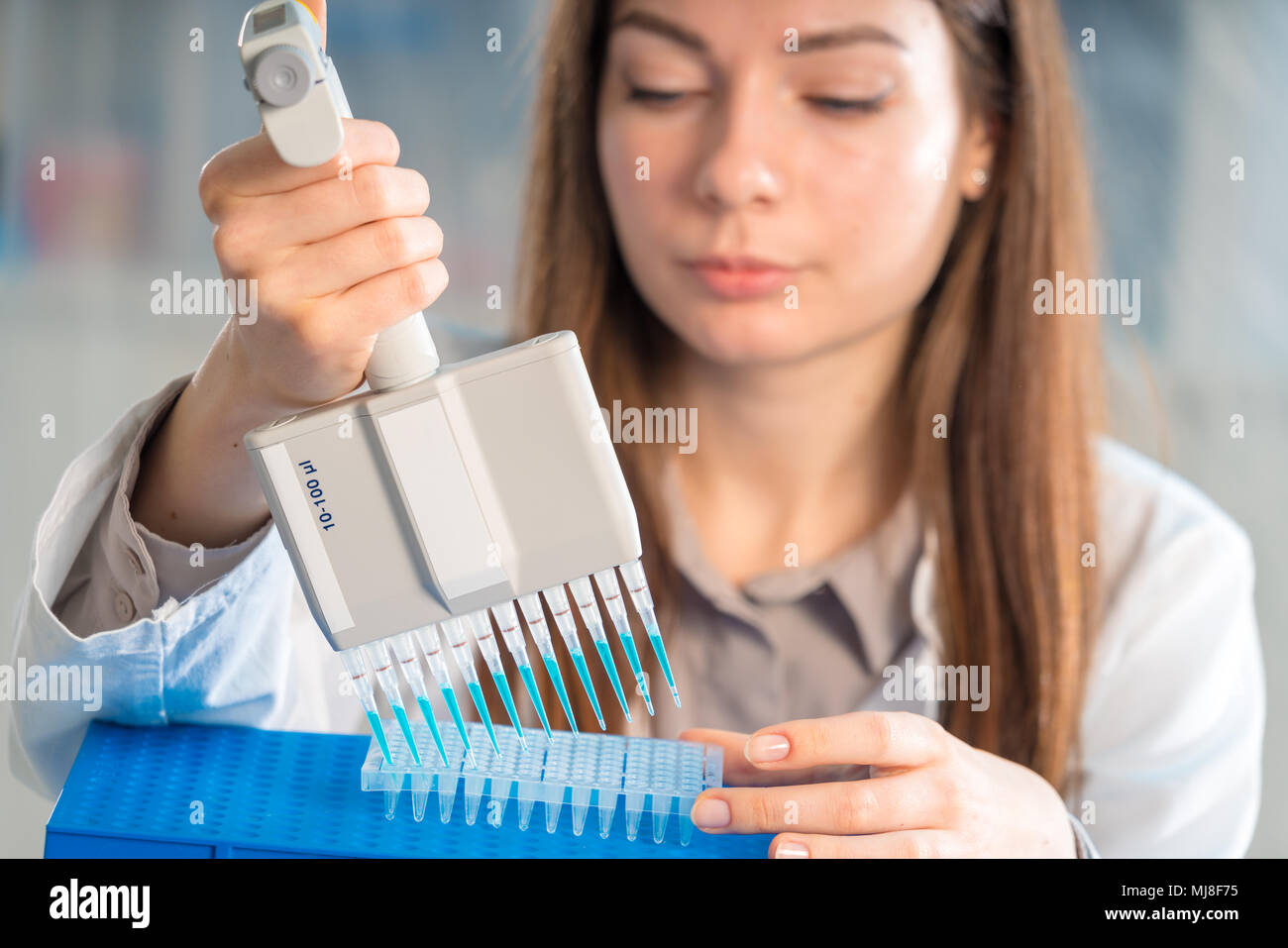 student woman with multi pipette and other PCR items in microbiological ...