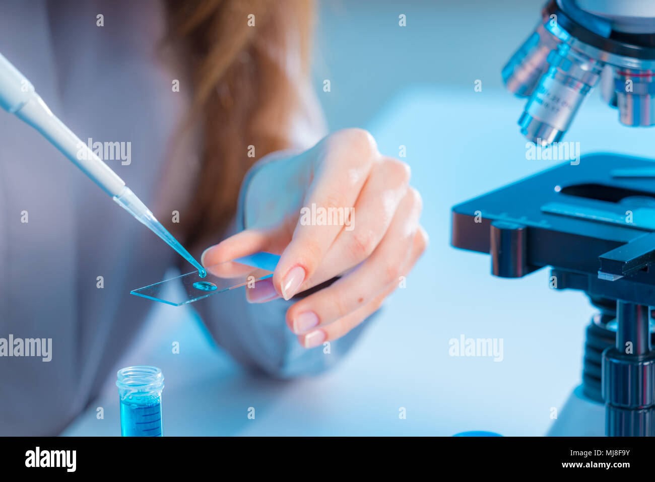 Blood sample on microscope slide. Researcher Analyzing Microscope Slide ...