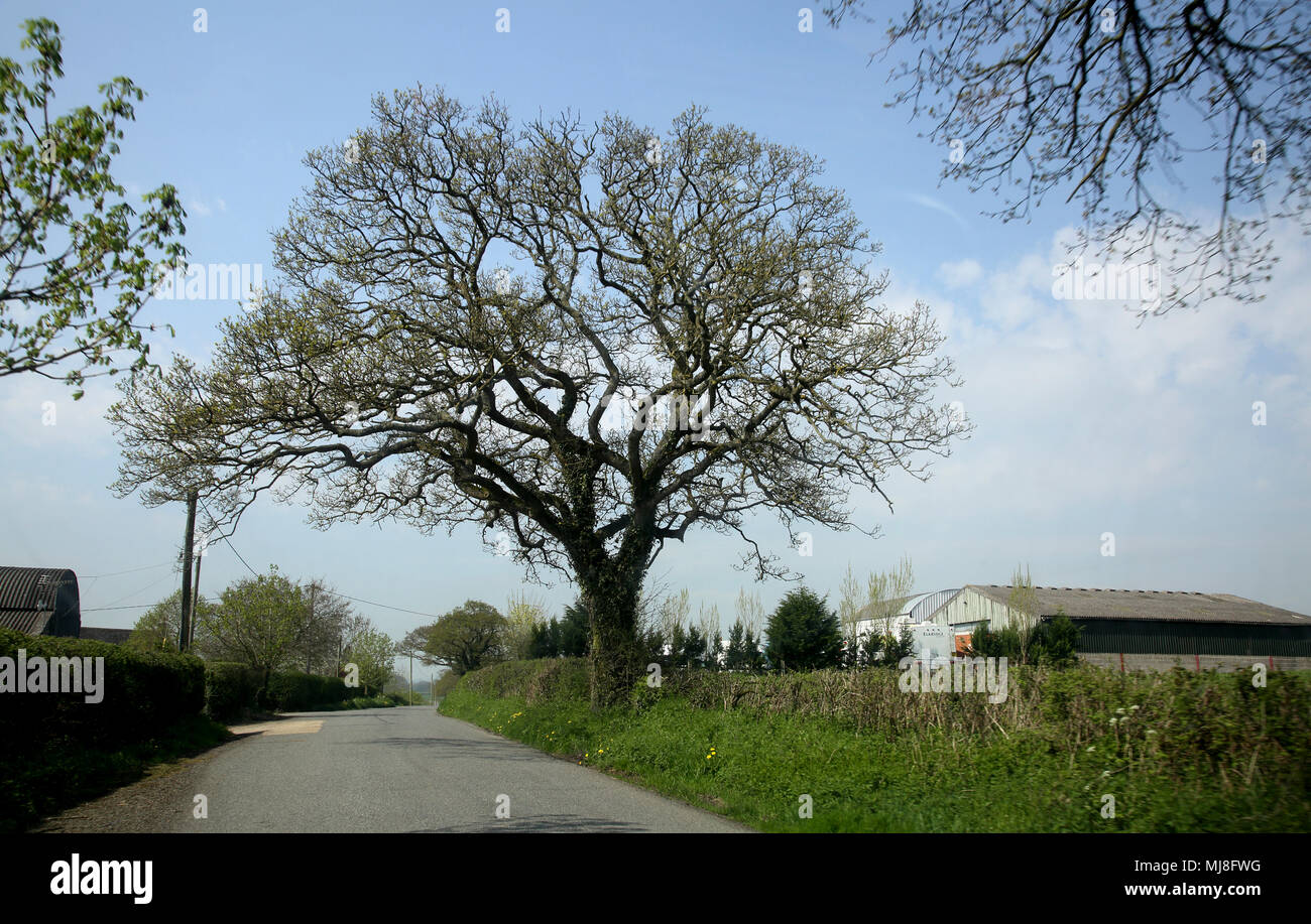 Country Road near Gillingham Dorset England Stock Photo - Alamy