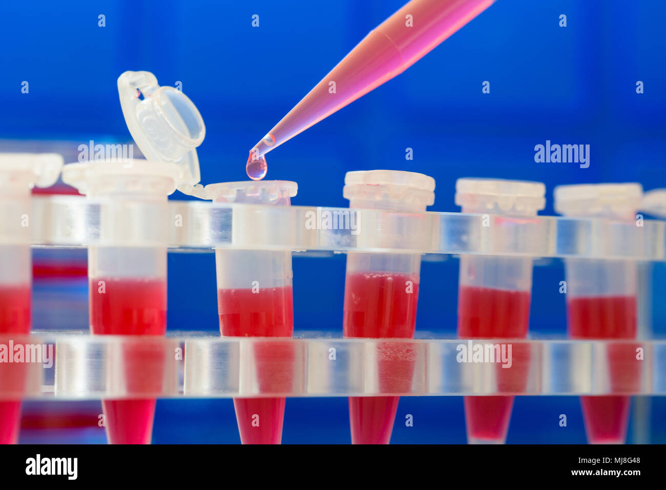 Laboratory of polymer chemistry Stock Photo - Alamy