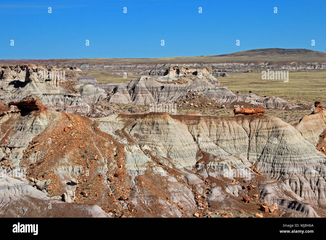 Badlands landscape with tree trunks in Petrified Forest National Park ...