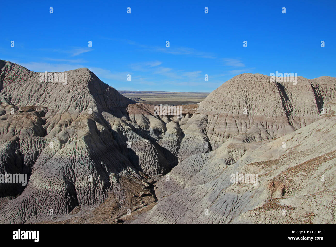 Badlands landscape with tree trunks in Petrified Forest National Park ...