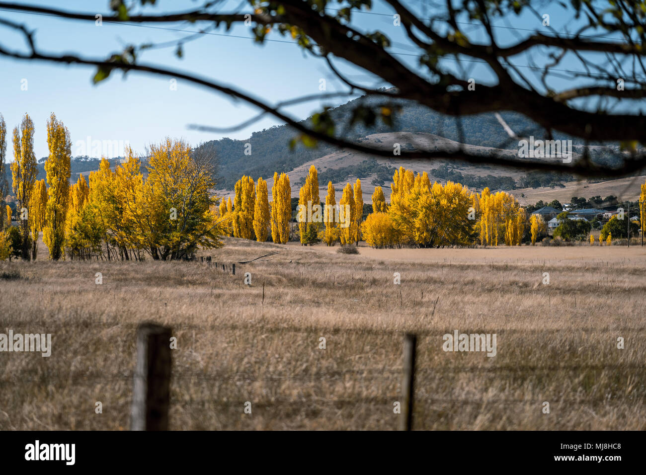 The colours of autumn in rural Australia Stock Photo - Alamy