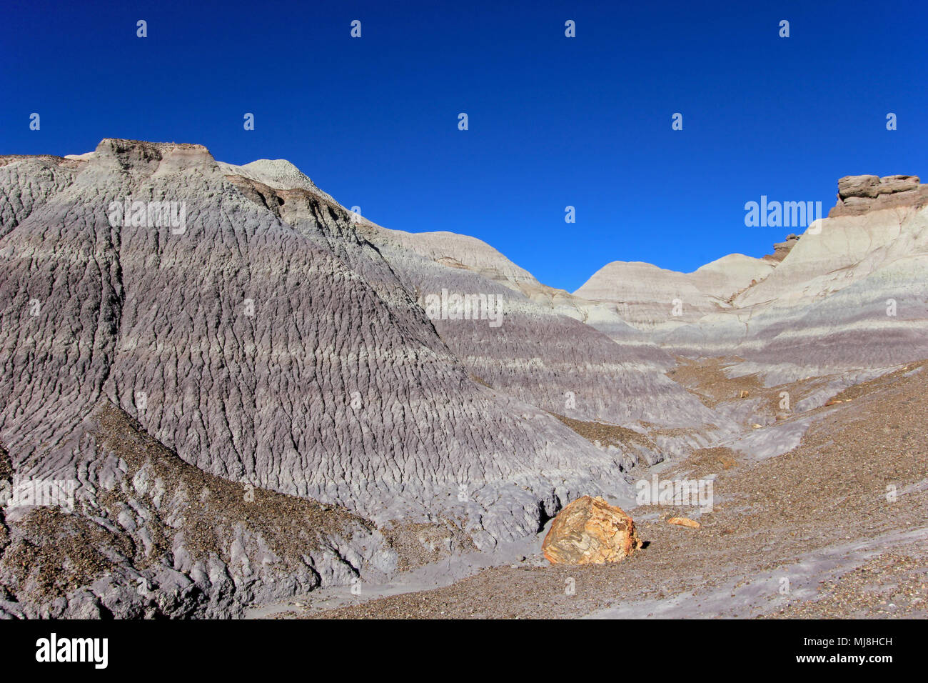 Badlands landscape with tree trunks in Petrified Forest National Park ...