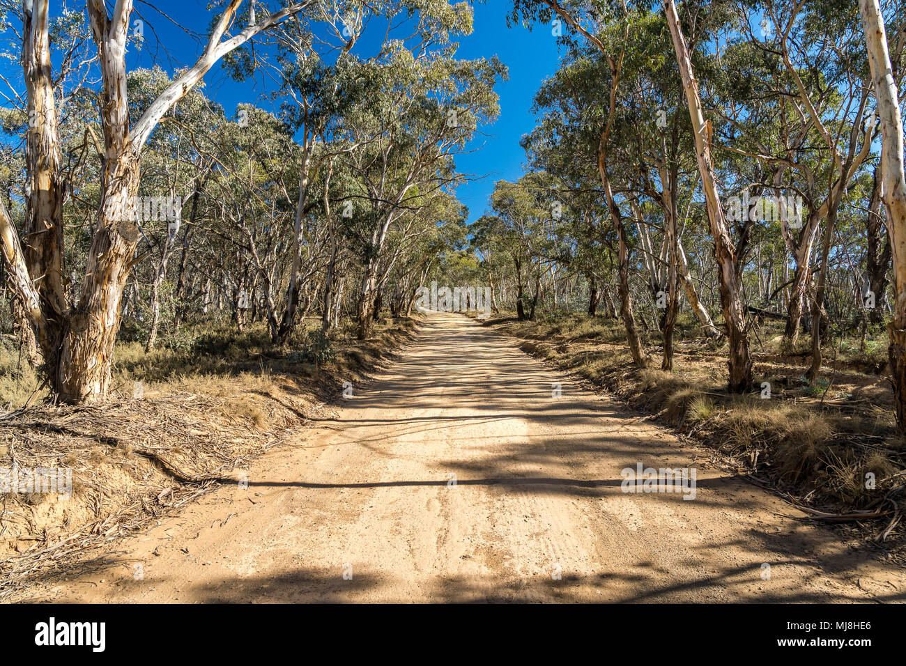 Unsealed road on Mount Clear in rural Australia Stock Photo - Alamy