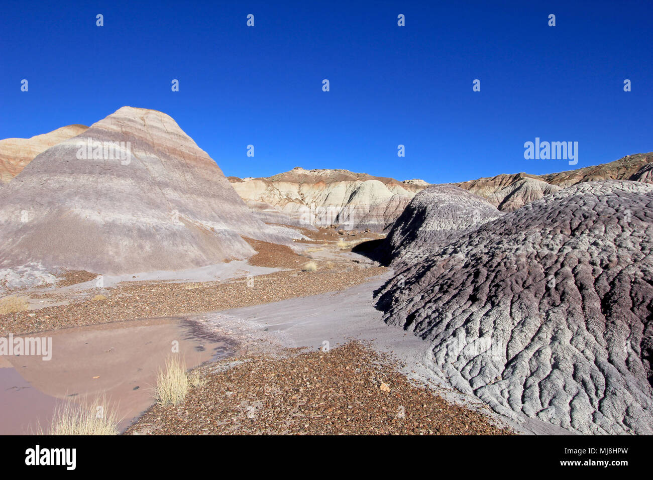 Badlands landscape with tree trunks in Petrified Forest National Park ...