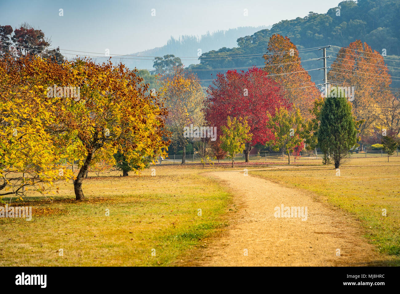The colour of autumn Stock Photo - Alamy