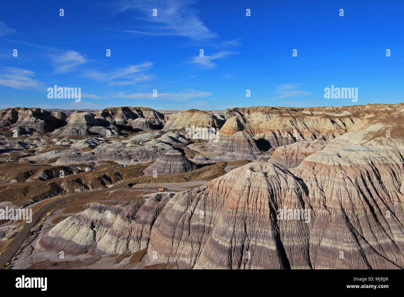 Badlands landscape with tree trunks in Petrified Forest National Park ...