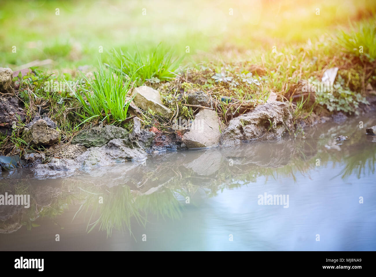 Pool of rain water hi-res stock photography and images - Alamy