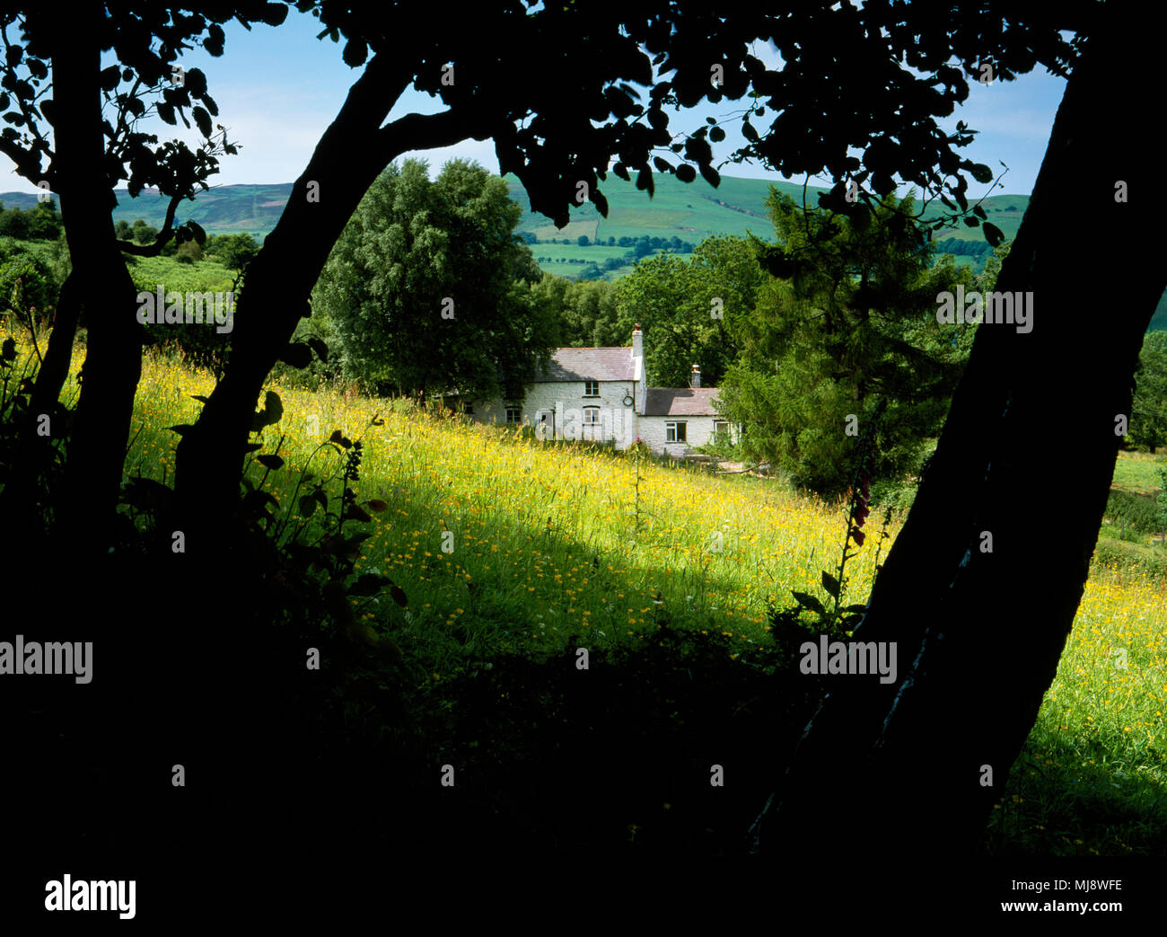 Bryn y castell hi-res stock photography and images - Alamy