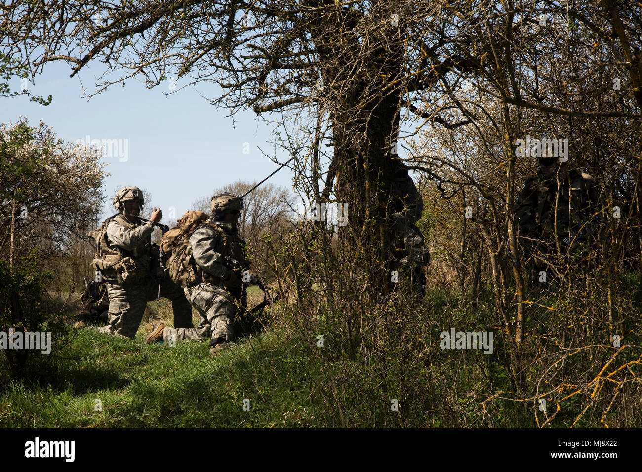 63rd Armor Regiment High Resolution Stock Photography and Images - Alamy