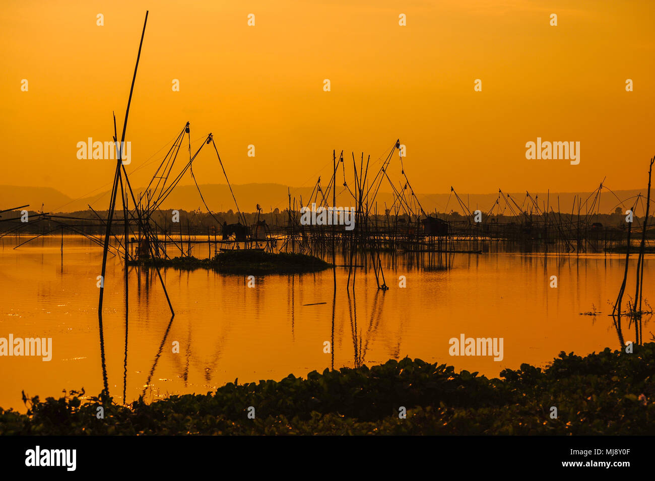 Traditional bamboo and wooden fishing tools installed in rural swamp ...