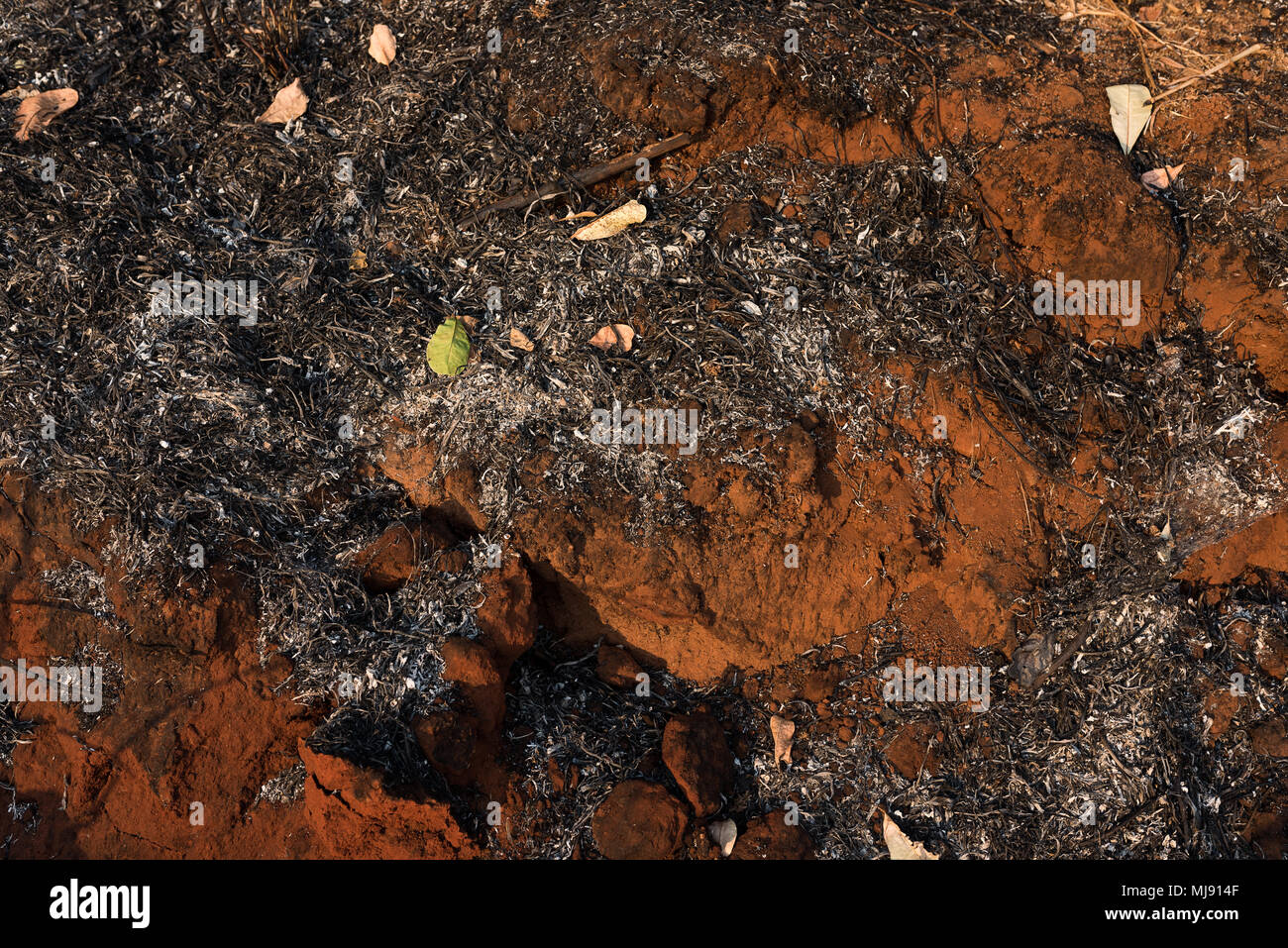 Structure of Cambodia red ground burned by sun. Asia. Similar to Mars ...
