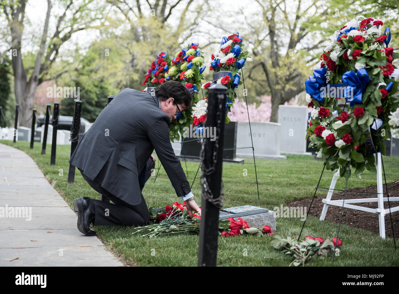 American spirit rose hi-res stock photography and images - Alamy