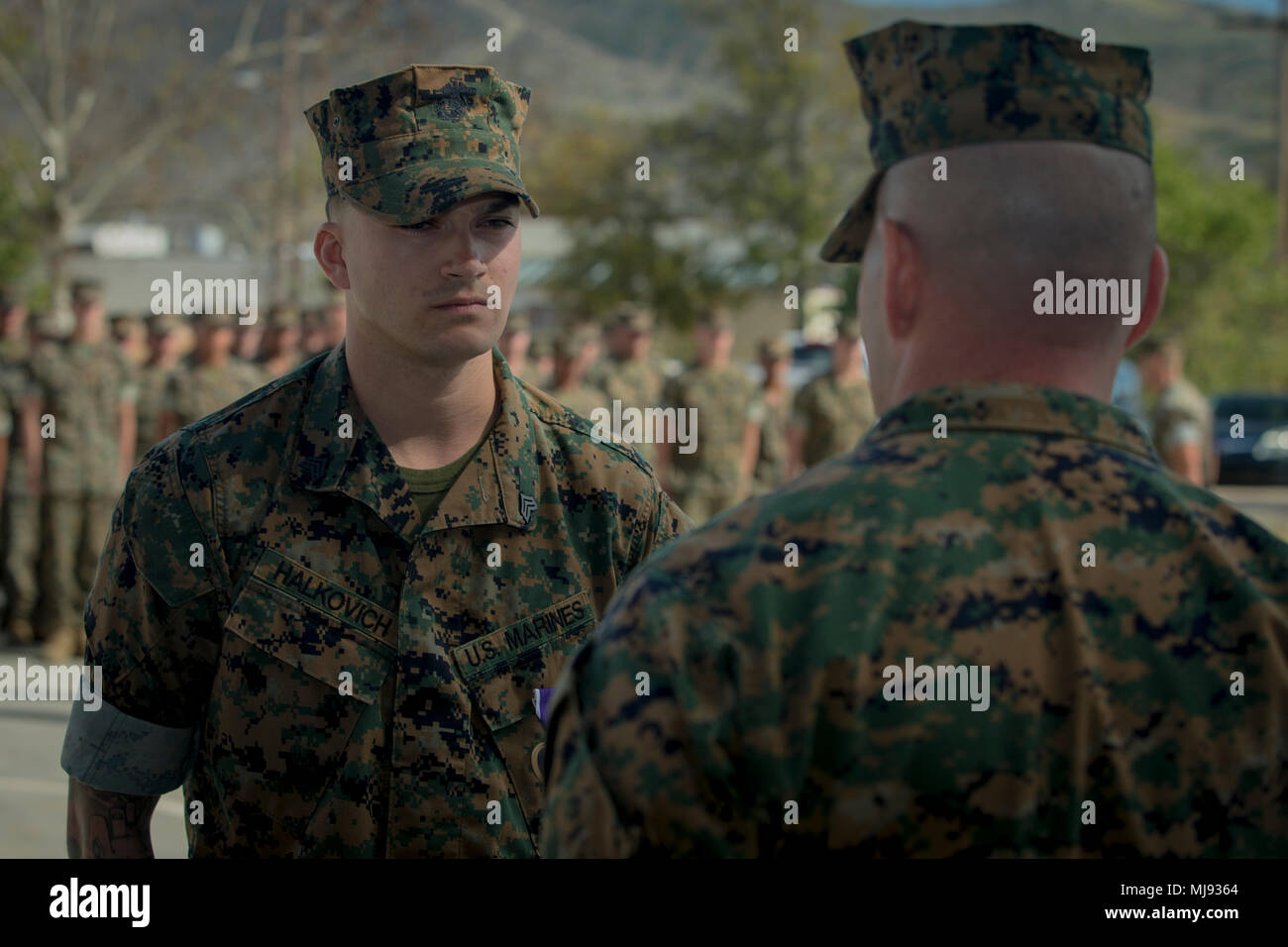 Cpl Cameron Joseph High Resolution Stock Photography and Images - Alamy