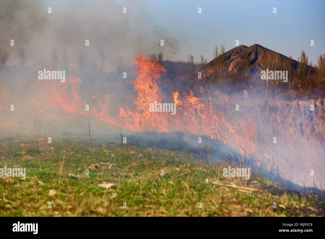Uncontrolled nature hi-res stock photography and images - Alamy