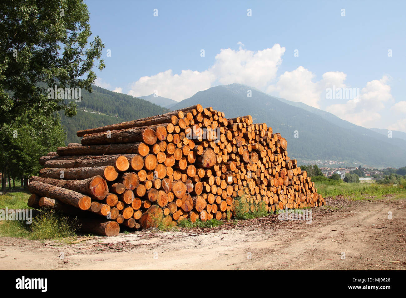 Lumber region hi-res stock photography and images - Alamy