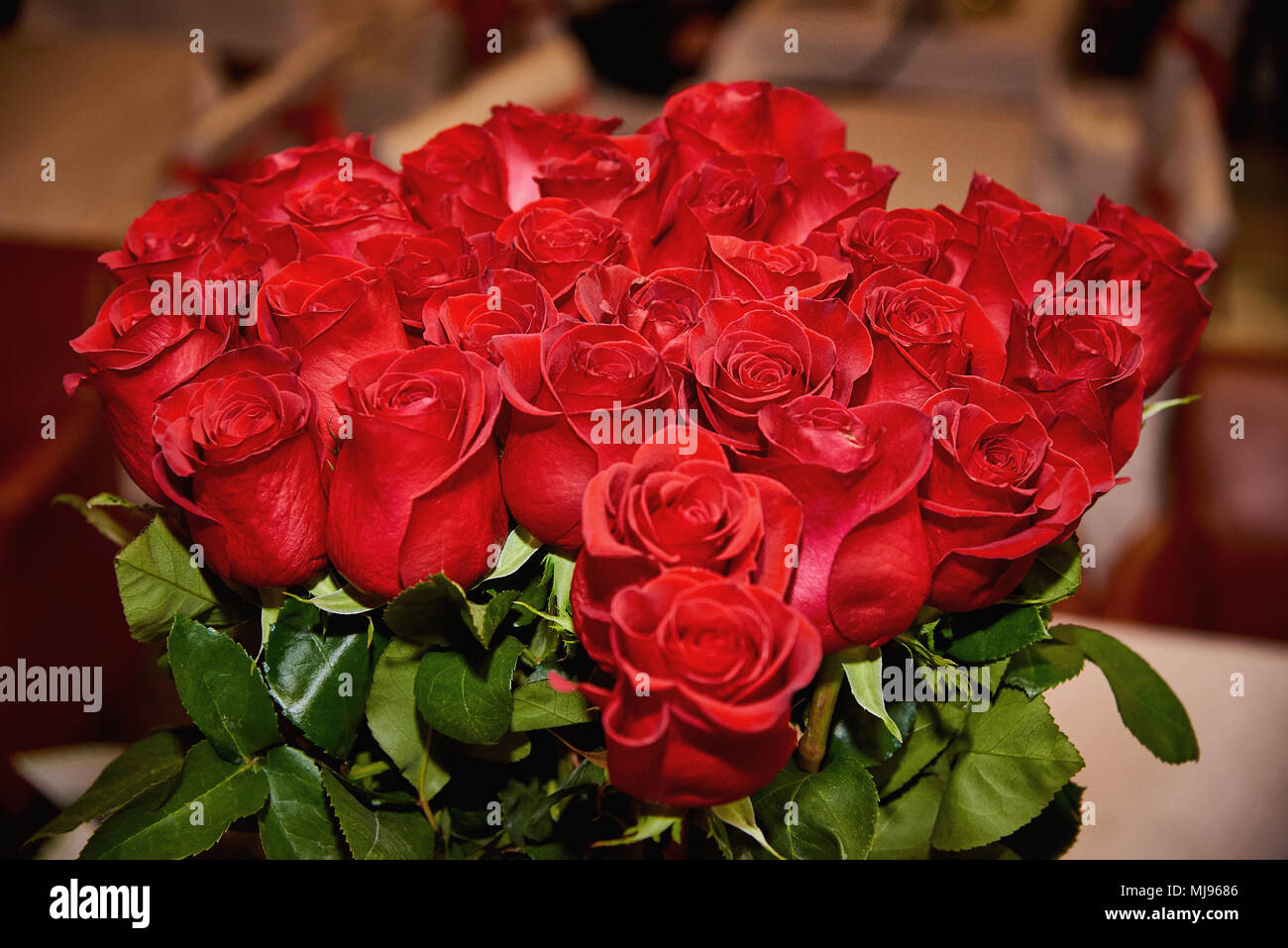Scarlet romance hi-res stock photography and images - Alamy