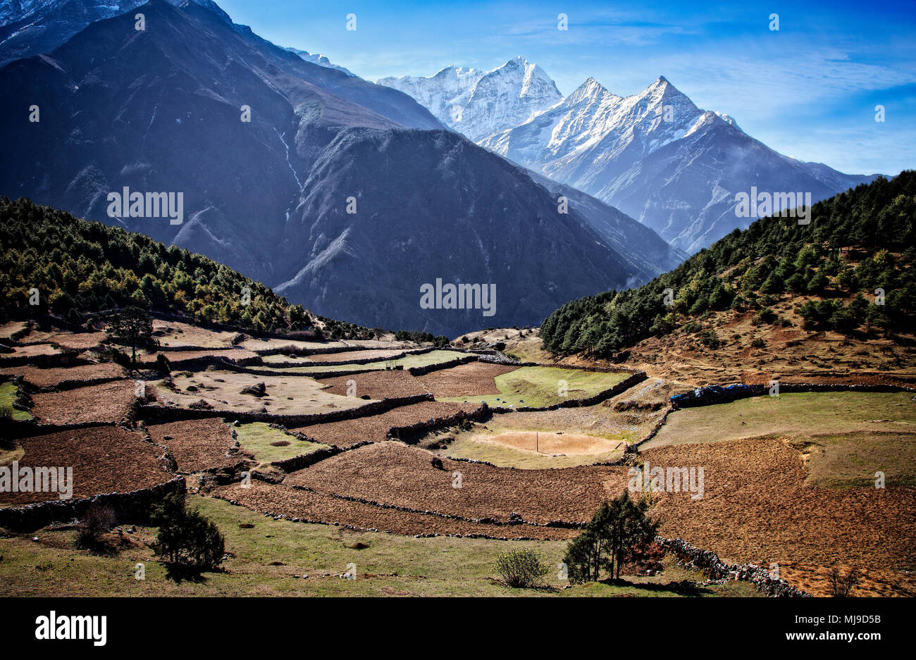 Nepal agriculture hi-res stock photography and images - Alamy