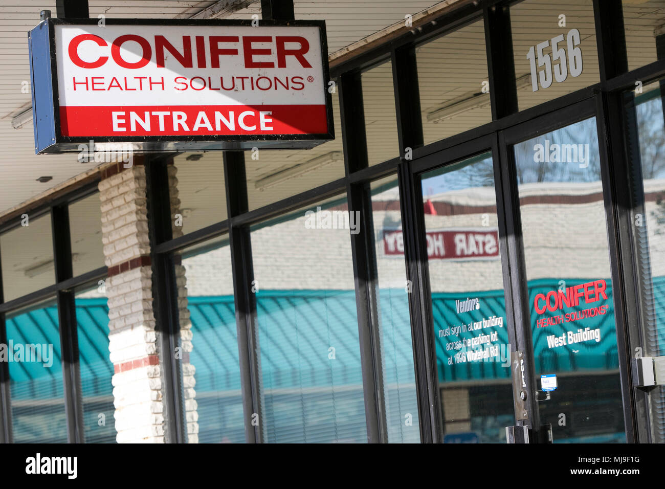 Conifer health solutions hi-res stock photography and images - Alamy