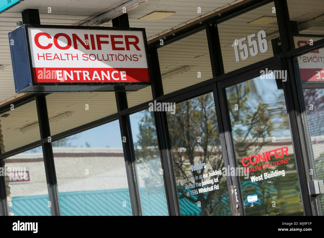 Conifer health solutions hi-res stock photography and images - Alamy Conifer health solutions hi-res stock photography and images - Alamy