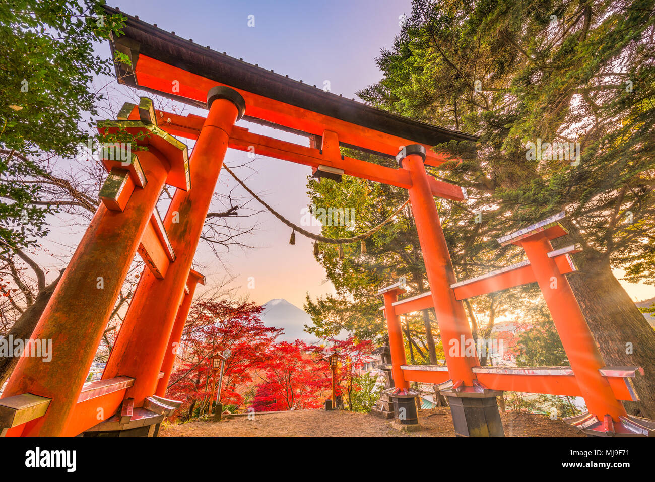Red torii gate fuji hi-res stock photography and images - Alamy