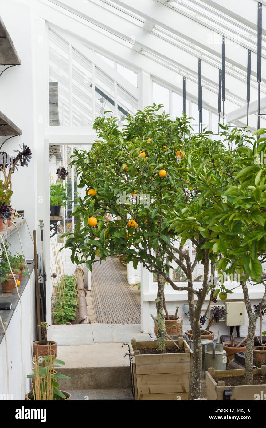 Heligan house lost gardens heligan hi-res stock photography and images ...