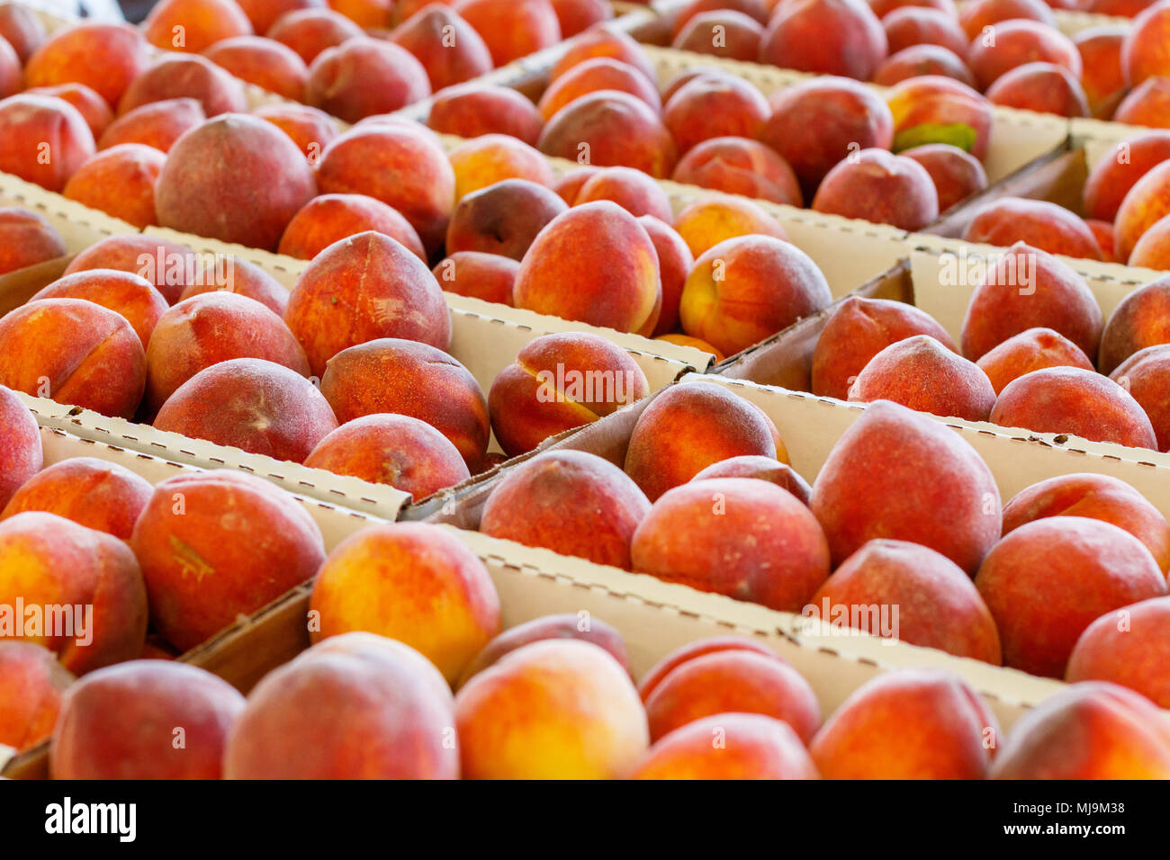 Fresh Peaches at a Farmers Market Stock Photo - Alamy