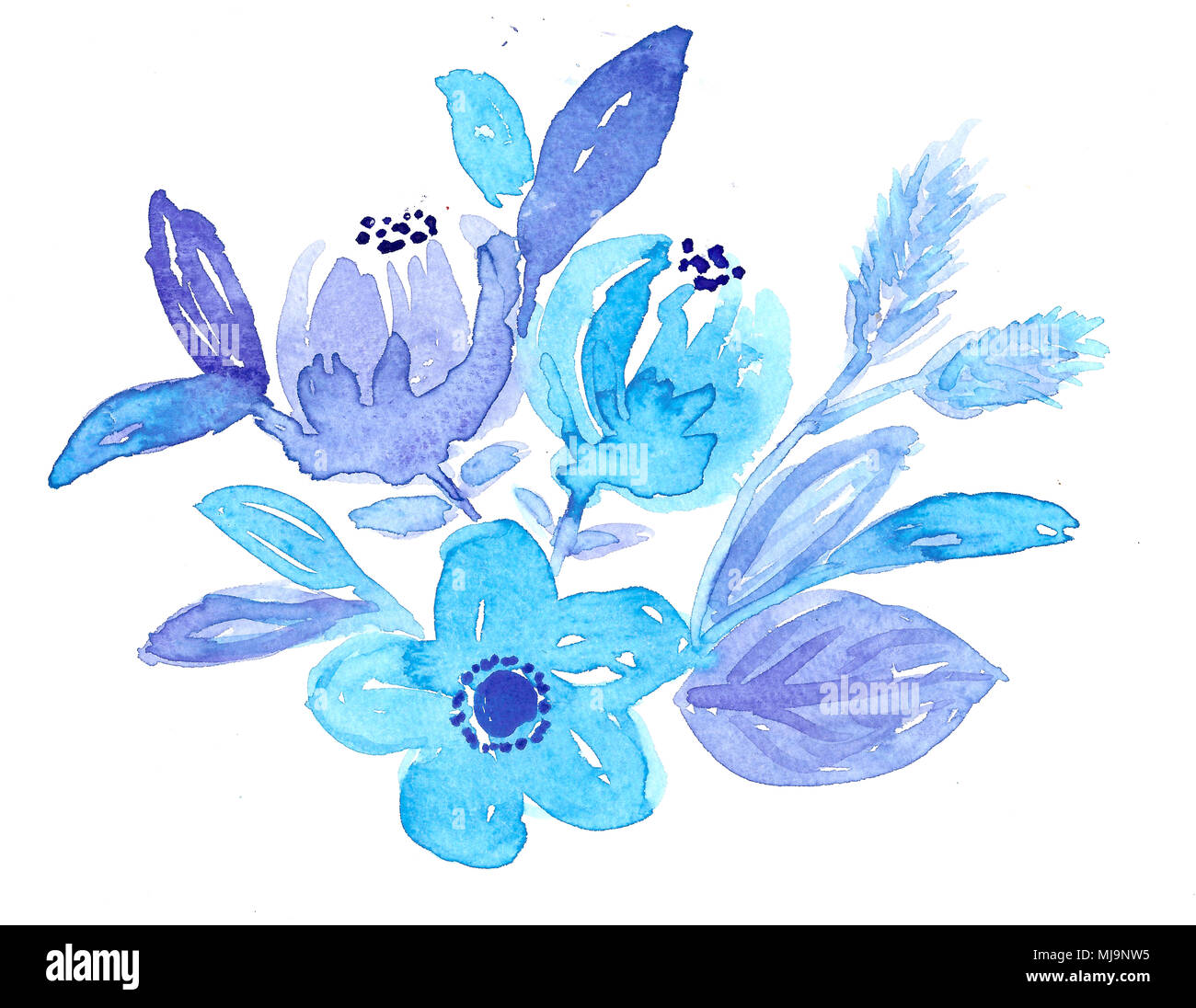 hand drawn watercolor blue flowers and leaves Stock Photo - Alamy