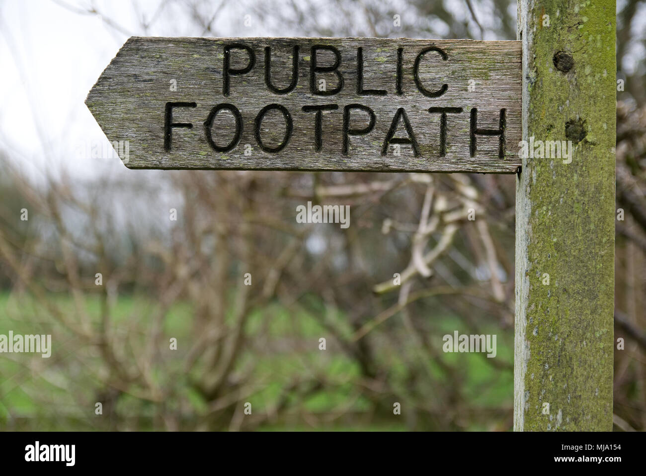 Weathered, old, Public Footpath, sign, wooden, wood, post, green ...