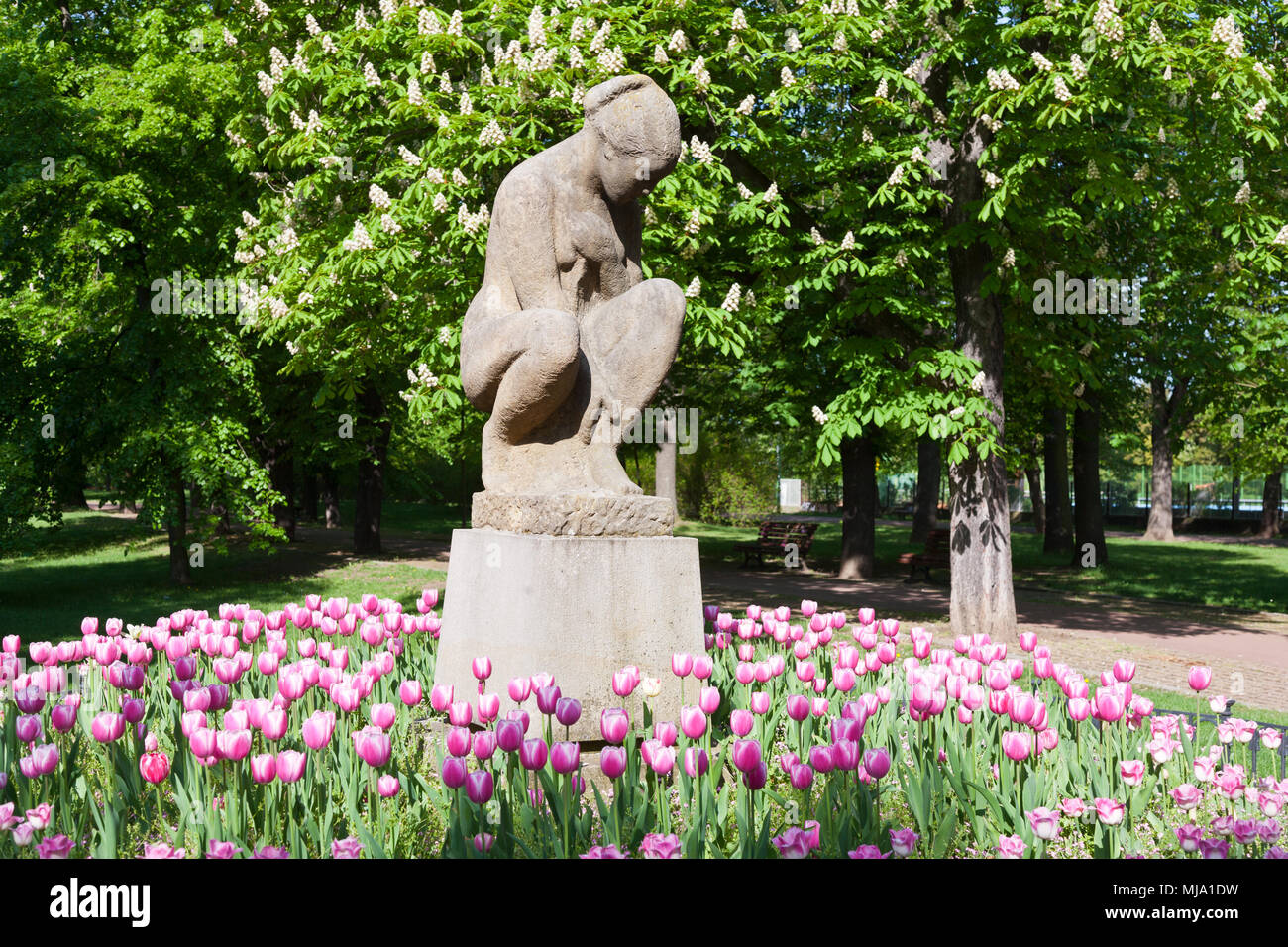 Jan kodet hi-res stock photography and images - Alamy