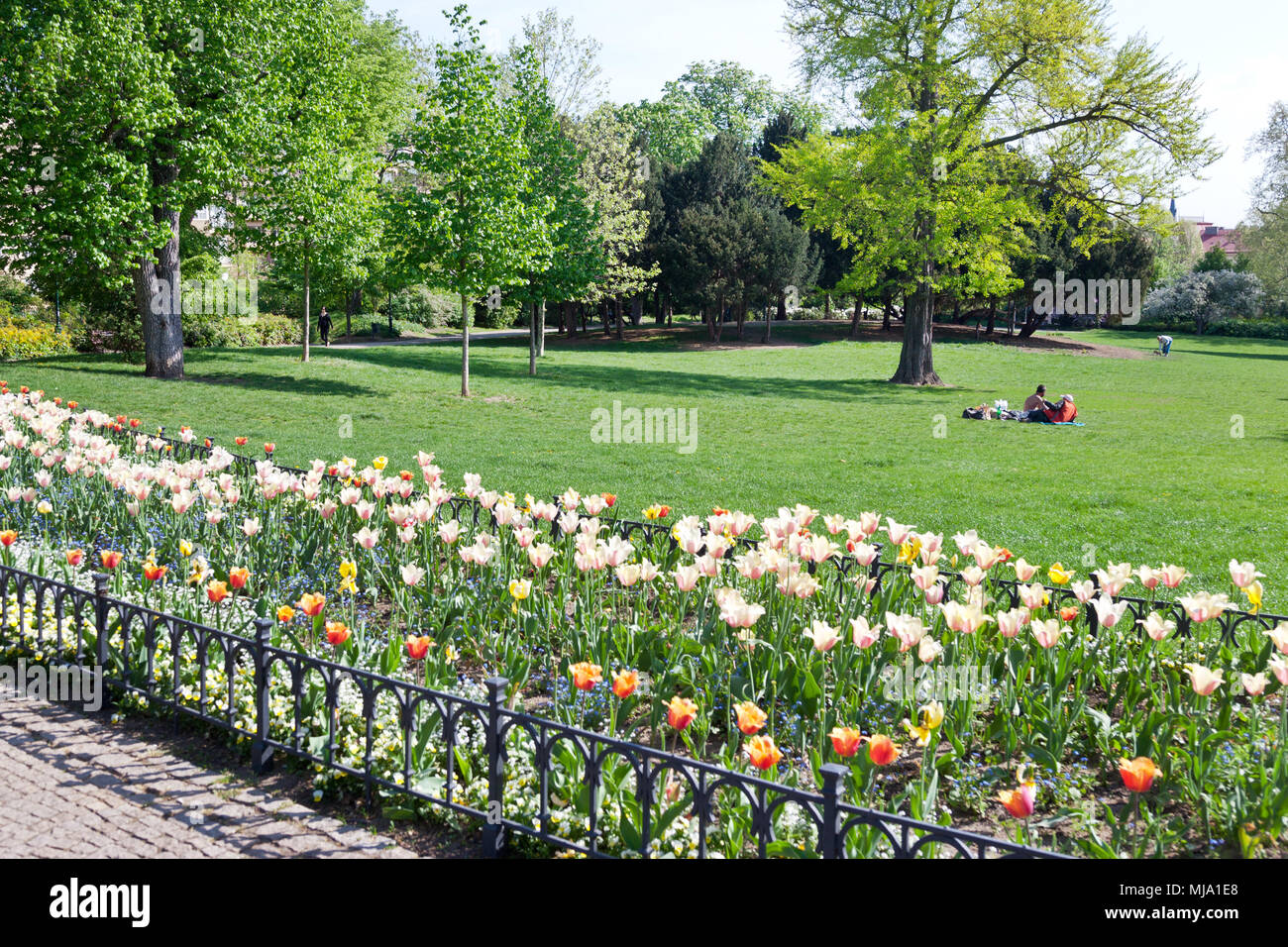 Letna garden hi-res stock photography and images - Alamy