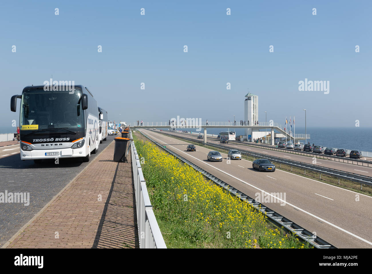Bus buses holland netherlands hi-res stock photography and images - Alamy