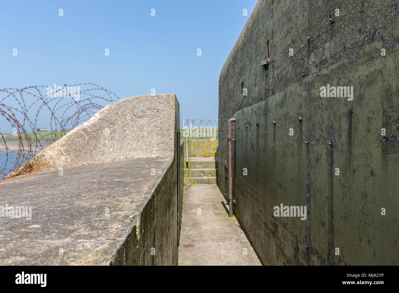 WW2 concrete shelter with barbed wire near Kornwerderzand at Dutch ...