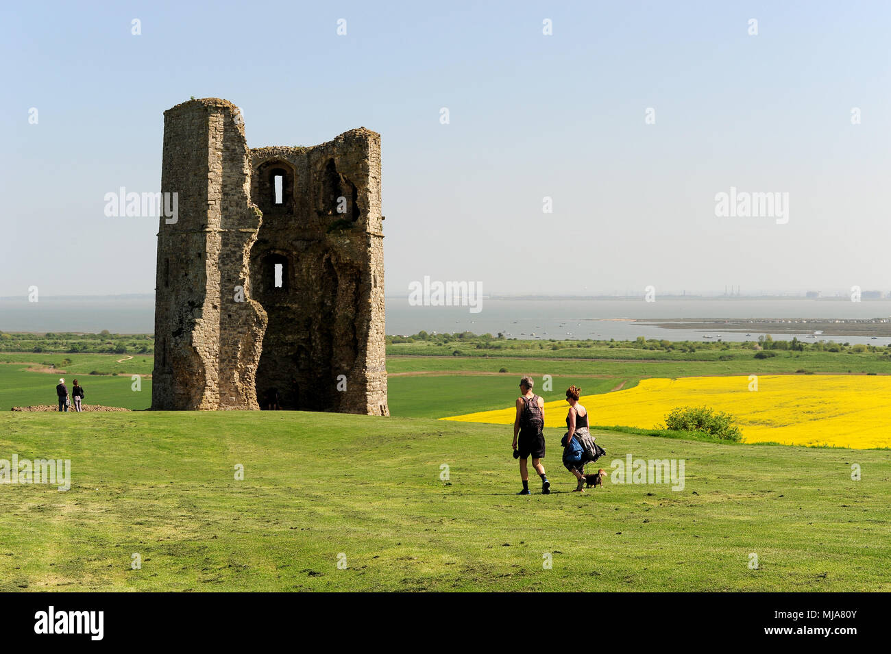 Ruins hadleigh castle in essex hi-res stock photography and images - Alamy