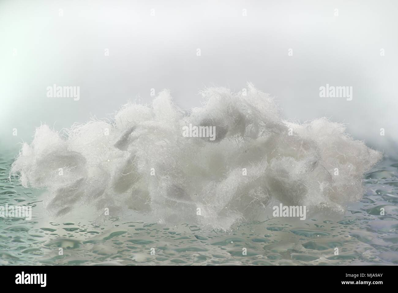 Cellulose hi-res stock photography and images - Alamy