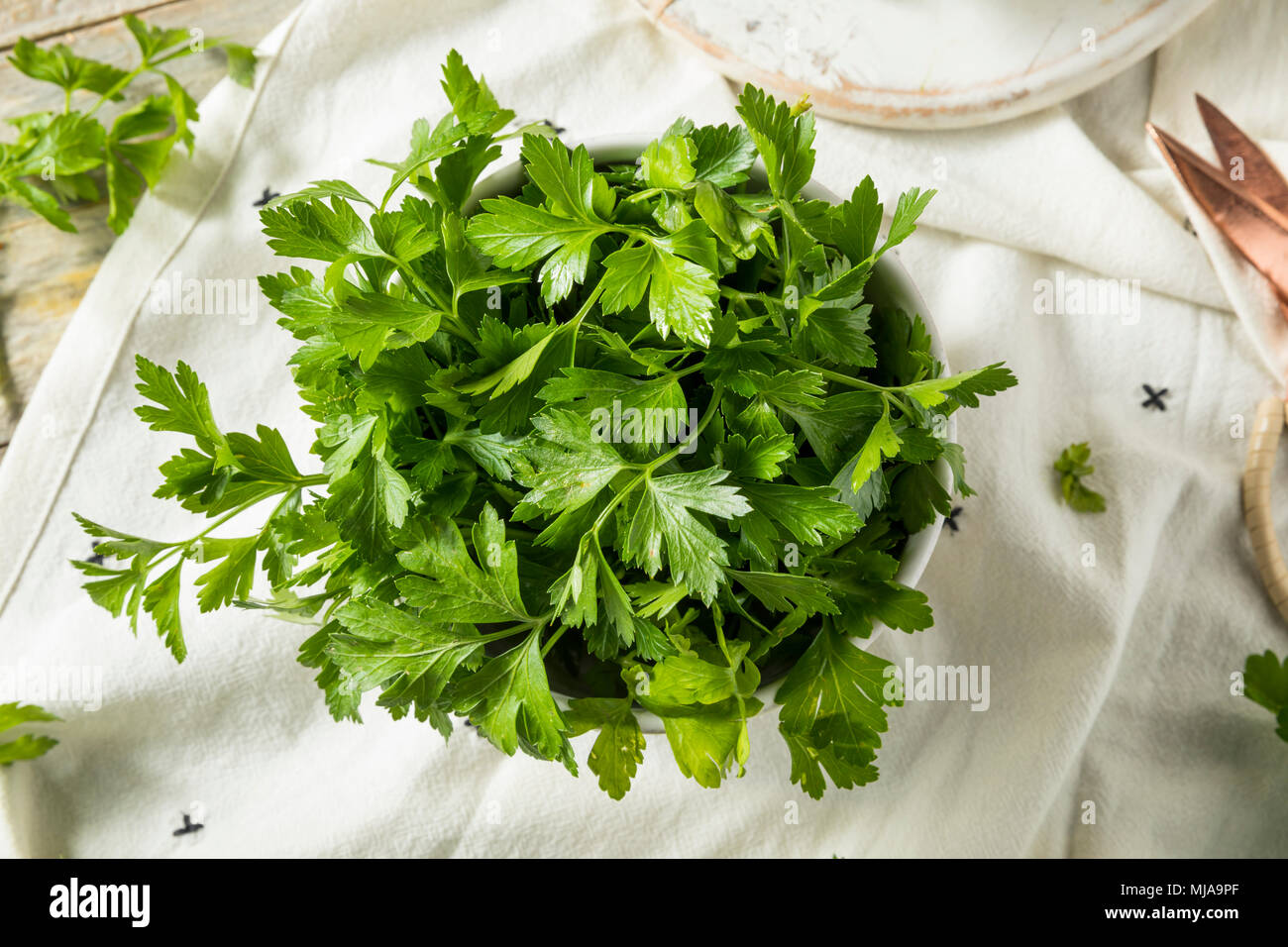 Raw Green Organic Italian Flat Leaf Parsley in a Bowl Stock Photo - Alamy