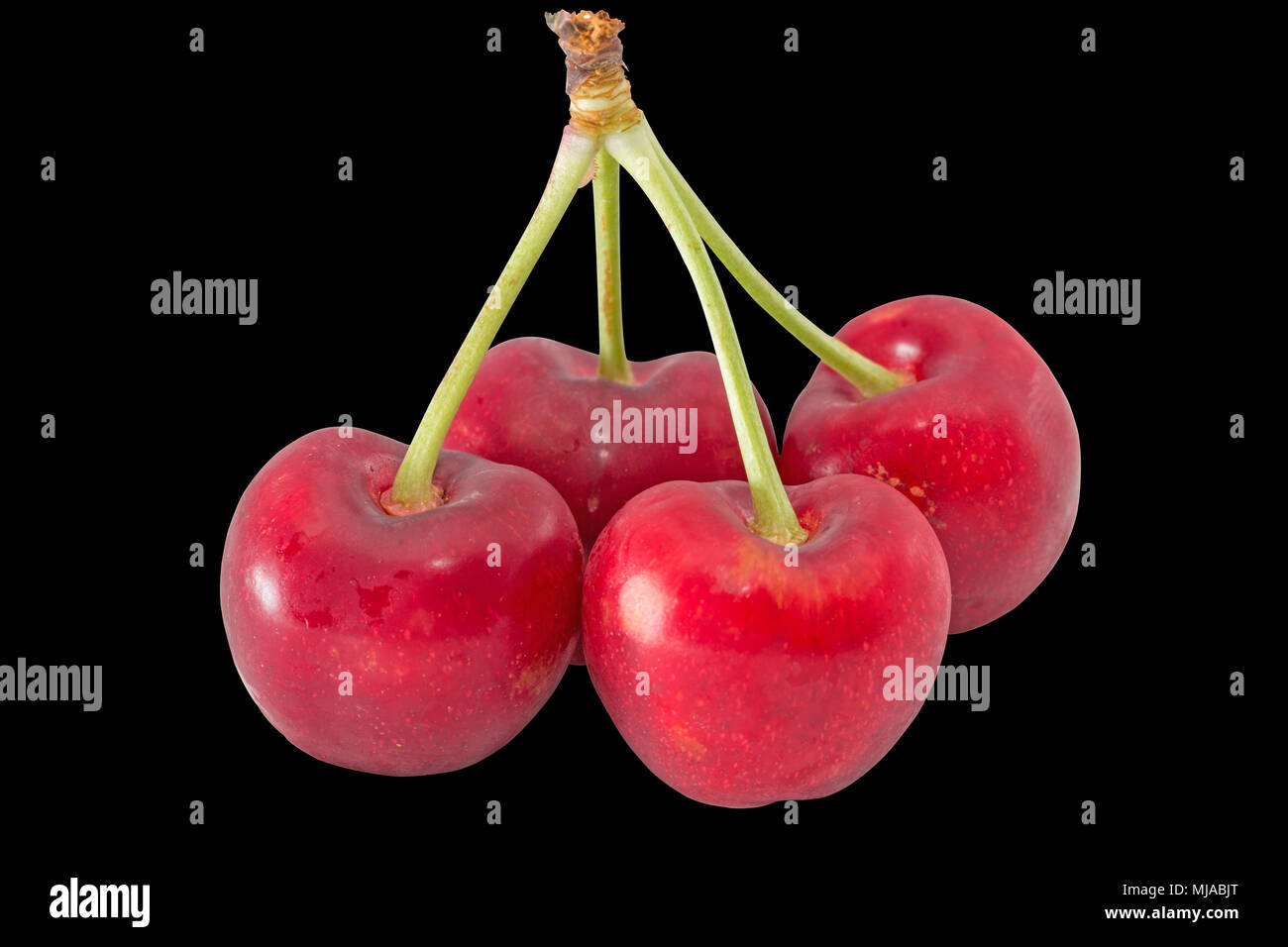 Closeup of bunch of cherries with stem on black Stock Photo - Alamy
