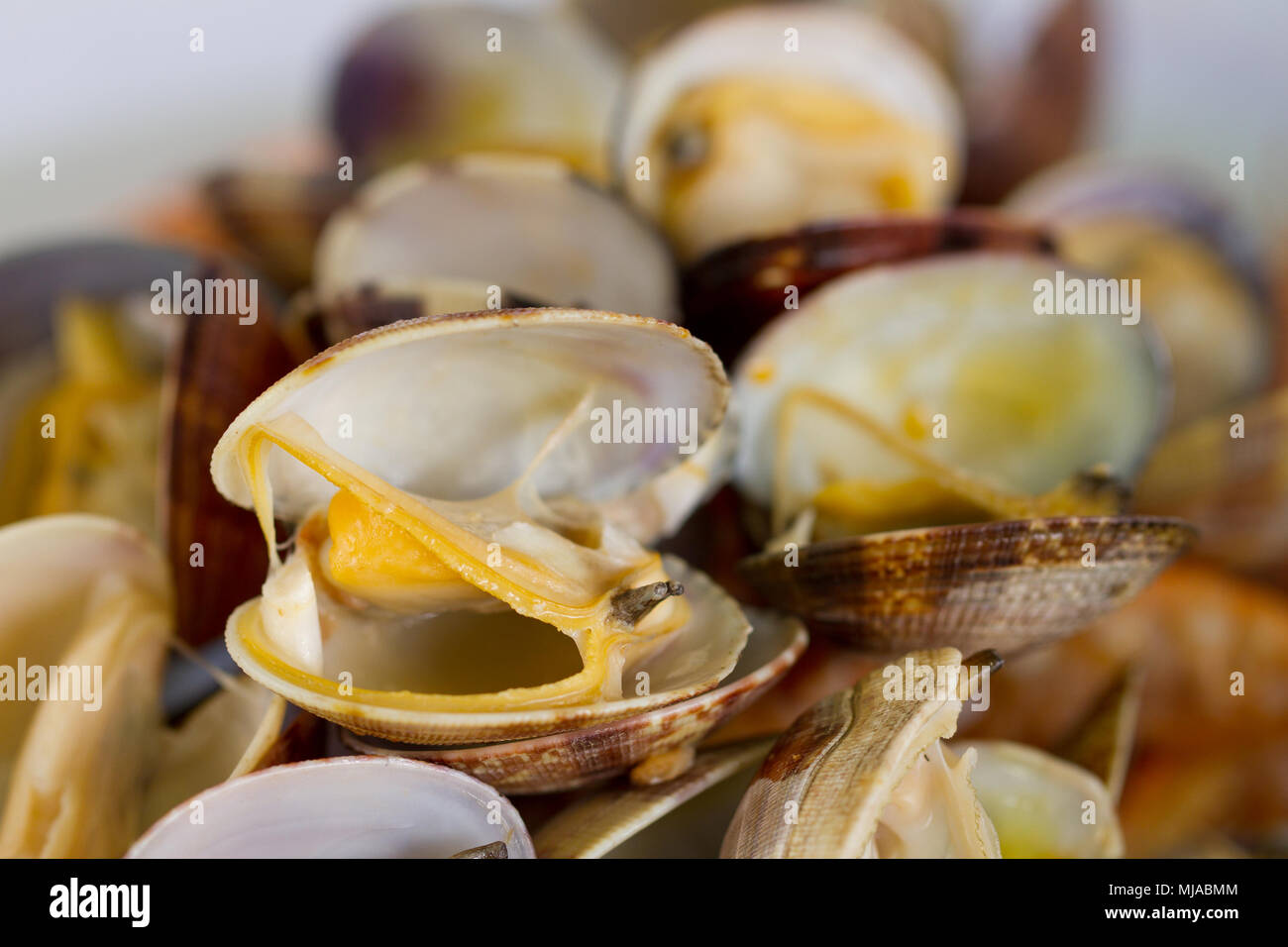 boiled clams plate with many clams Stock Photo - Alamy
